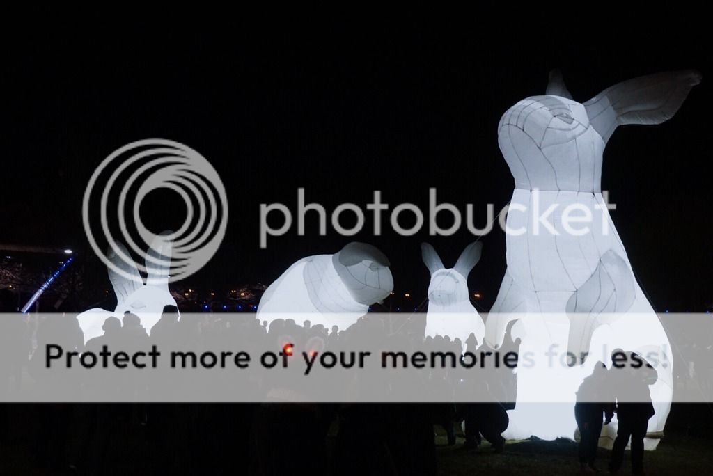 The Light Yards, D.C. – Helen Calderon