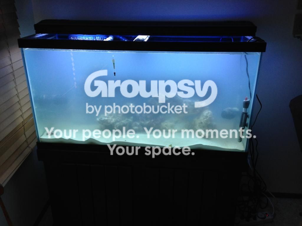 The Move 60 to 90 + refugium | The Reef Tank